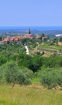 Holiday Villas in Istria Region to Rent 2021/2022 | Croatian Villa Holidays